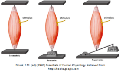 The Ins and Outs of Muscle Contractions - Aurora Scientific