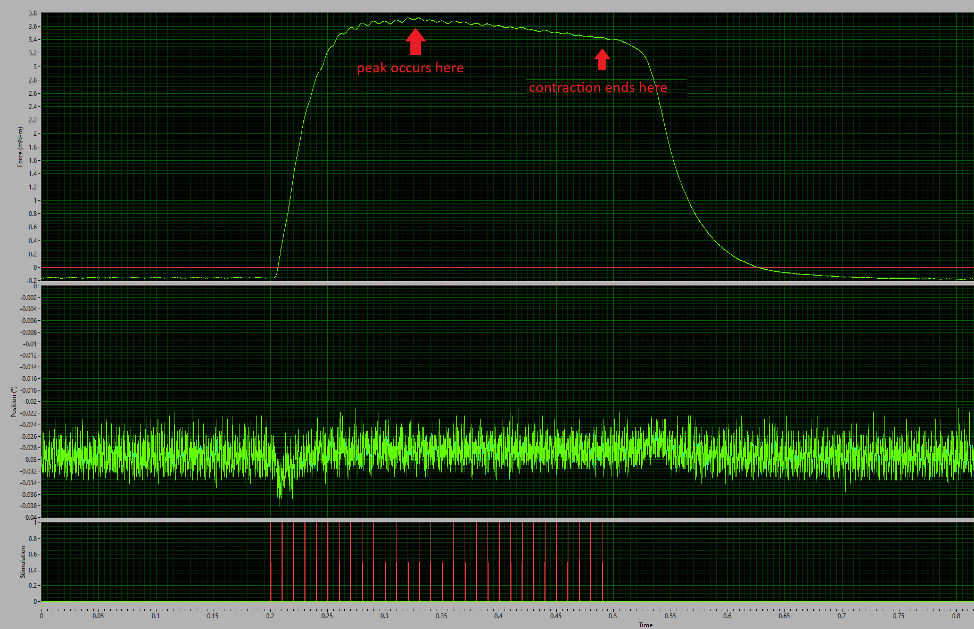 Tips and Tricks to Get The Most Out of High Throughput DMA - Aurora ...
