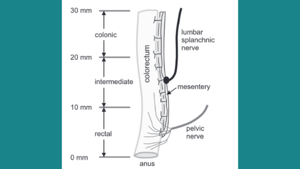 Biomechanical Properties of GI Smooth Muscle - Aurora Scientific