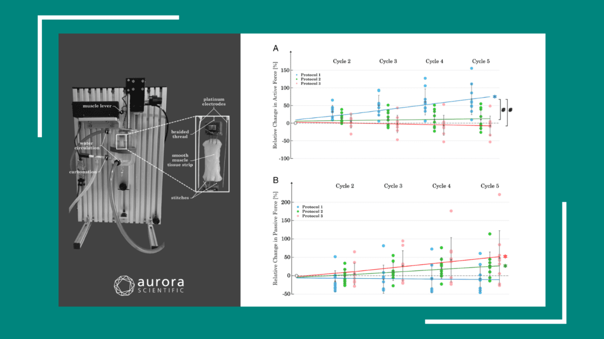 Establishing Optimal Stimulation Conditions in Intact Muscle - Aurora ...