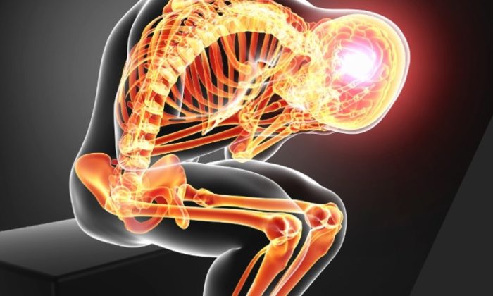 Aurora Scientific | Trusted Research Instruments